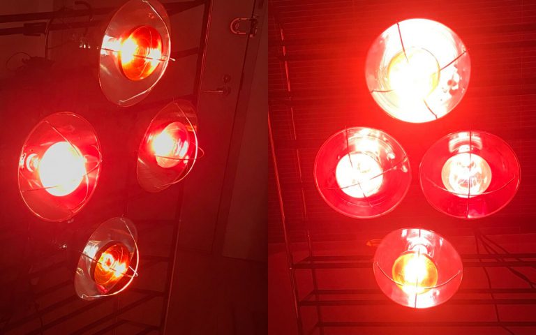 How to Build a DIY Near Infrared Sauna for Under $150